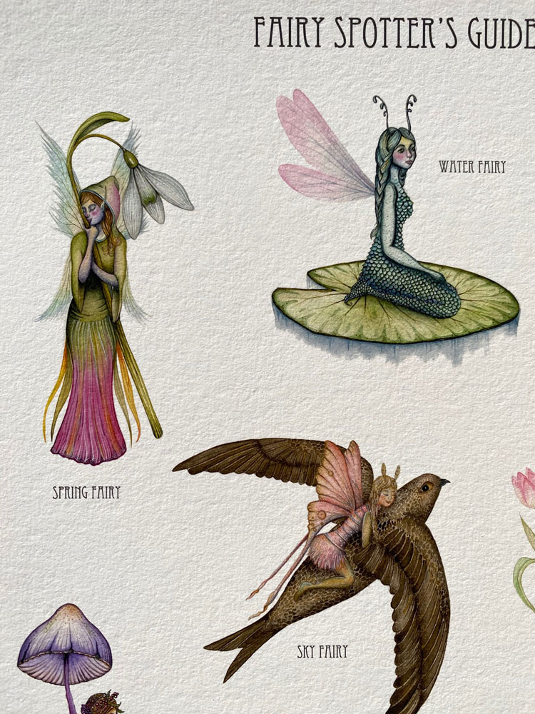 Fairy Spotter's Guide A4 Print - Just us Merfolk